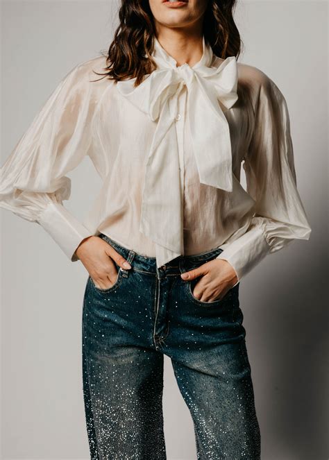 Semi Sheer Pussy Bow Blouse Blush Boutique
