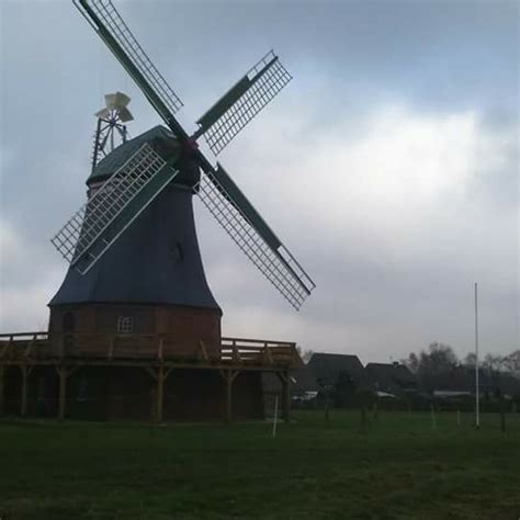 فلم كرتون بالغة المانية Syrians In Sarstedt Facebook