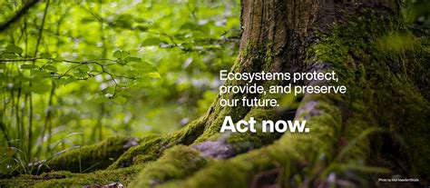 Greenpeace Philippines 𝐈𝐍 𝐏𝐇𝐎𝐓𝐎𝐒 𝐃𝐢𝐧𝐚𝐠𝐚𝐭 𝐈𝐬𝐥𝐚𝐧𝐝𝐬 𝐫𝐞𝐬𝐢𝐝𝐞𝐧𝐭𝐬 𝐛𝐨𝐨𝐬𝐭 𝐜𝐨𝐦𝐦𝐮𝐧𝐢𝐭𝐲 𝐫𝐞𝐜𝐨𝐯𝐞𝐫𝐲 𝐟𝐫𝐨𝐦