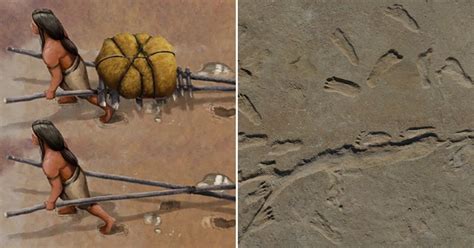 Newly Discovered 22000 Year Old Tracks Are First Evidence Of Human