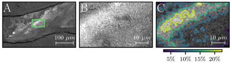 In Situ Inclusion Detection And Material Characterization In An Electron Beam Powder Bed Fusion