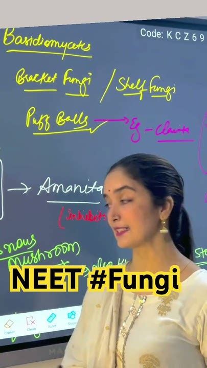 Neet Fungi Kcbiozone Soniakaushikbiologyexpert Youtube