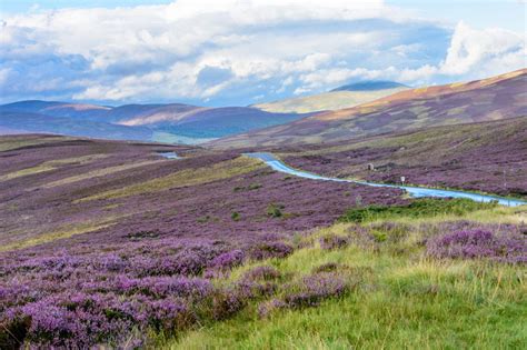 Cairngorms National Park Inspire My Holiday