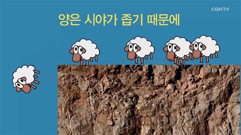 양과 목자 Youtube