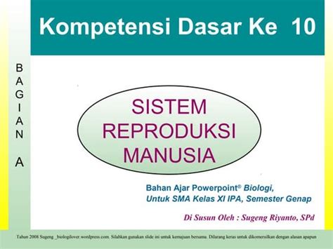 Sistem Reproduksi Manusia Powerpoint Pptx