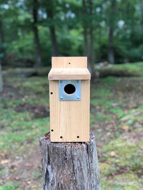 Bluebird And Tree Swallow Birdhouses Etsy