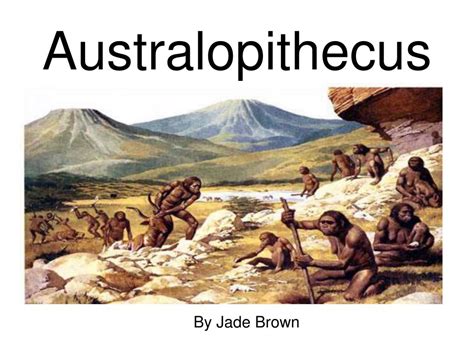 Ppt Australopithecus Powerpoint Presentation Free Download Id 4881253