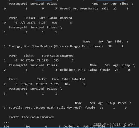 Pandas基础操作与数据处理技巧 Csdn博客