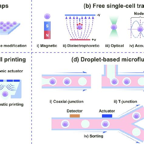 Schematic Of Enabling Techniques For 1d Single Cell Building Blocks Download Scientific Diagram