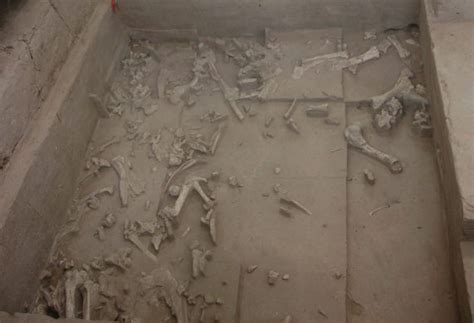 Hudson Meng Bison Kill Harrison Nebraska Atlas Obscura