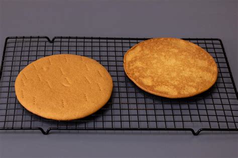 Торт Медовик классический рецепт медового торта с пошаговым приготовлением