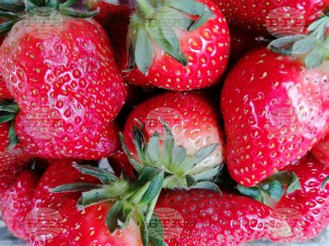 РЗИ Търговище популяризира борбата със затлъстяването сред ученици Утро