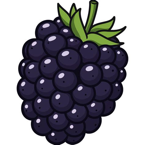 A Vibrant Cartoon Illustration Of A Single Ripe Blackberry Showcasing
