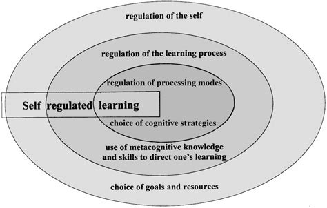 Self Regulation Of Learning