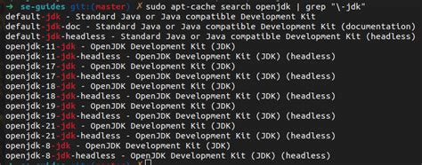 Java 17 Installation Guide For Linux Users