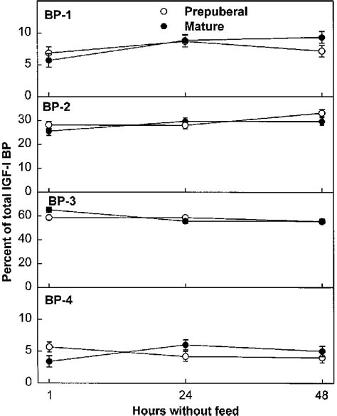 Serum Insulin Like Growth Factor I Igf Binding Protein Igfbp 1 To 4