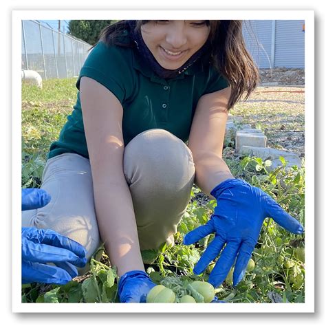 Stem Education Program Northside Independent School District