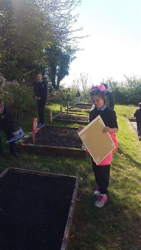 Nature School Great Day In Castlegar Ns Mapping School Facebook