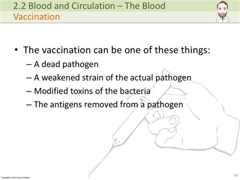 IGCSE The Blood