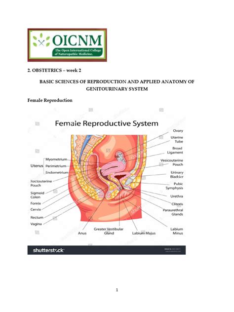 Bms Lecture Note Oicnm Week 2 Pdf