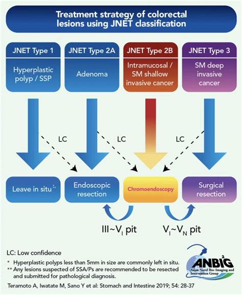 Endocollab Understanding Colorectal Lesions A Visual Guide This
