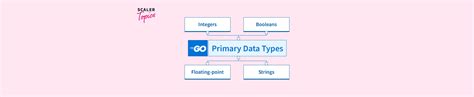 Primary Data Types In Golang Scaler Topics