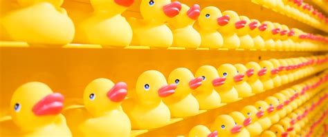 How To Split Arrays Into Equal Sized Chunks Dev Community