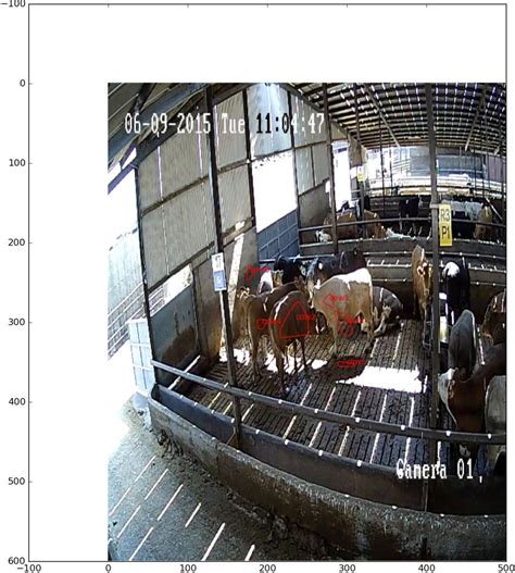 Image Ax Fill In Matplotlib Creates White Margins Stack Overflow