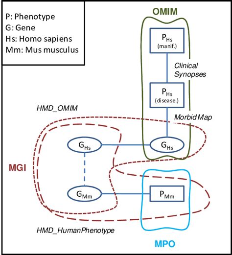 Mapping Through Gene Annotations Overview Of The Methods Download