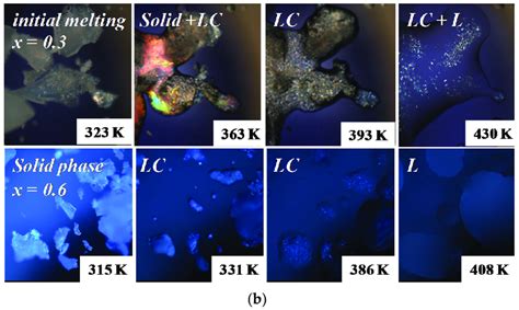 A Micrographs For Cholesterol Phytosterol Mixtures And For B Download Scientific Diagram