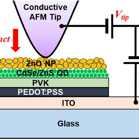 The Schematic Of The Surface Manipulation Method Using A Conductive Afm Download Scientific