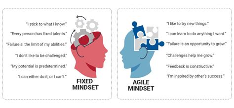 Alexander Regueira On Linkedin Agile Scrum Management Agilejourney Agilemindset