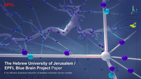 Hu Computational Brain Science Breakthrough Simplifies Complex Neuron Models The Canadian