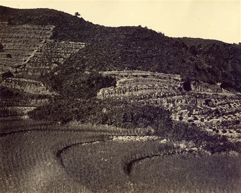 1870 е Китай на снимках из коллекции Ивана Семеновича Полякова Часть 2 Humus — Livejournal