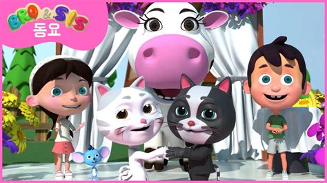 미스터 캣 아저씨가 😻 동요모음 브로앤시스 동요 Youtube