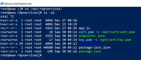 introduction to the real time optimized simulator docker image devportal