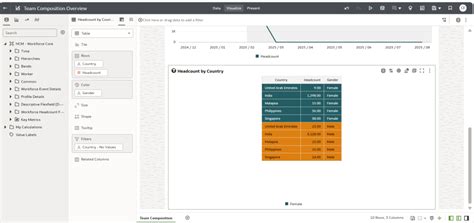 insights into graphical representation in oracle data intelligence