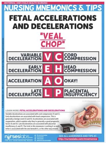 Week One Virtual Skills Lab Quiz Flashcards Quizlet