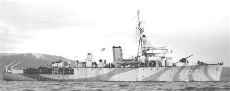 Algerine Class