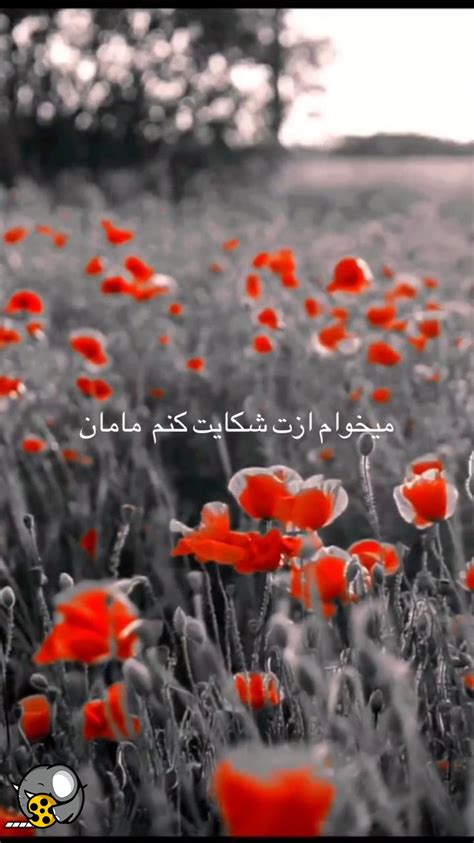 متن زیبا برای مادرکلیپ مادرانه فیلو