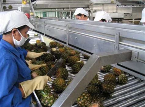 Semi Automatic Pineapple Slice Processing Plant At ₹ 7000000piece In