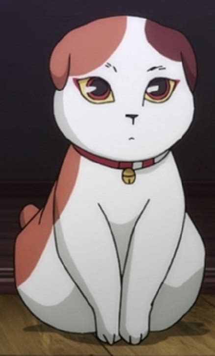 Sunekosuri 2018 Anime By Masterchristian On Deviantart