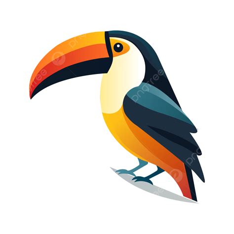 Beautifull 큰부리새 새 절연 투명 배경 벡터 큰부리새 아름다운 큰 부리 새 열대 조류 Png 일러스트 및 벡터 에 대한 무료 다운로드 Pngtree