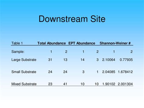 Ppt The Effects Of Substrate Size On Stream Macroinvertebrate