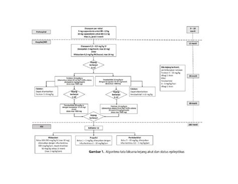 Pr Algoritma Epilepsi Lionita Pdf
