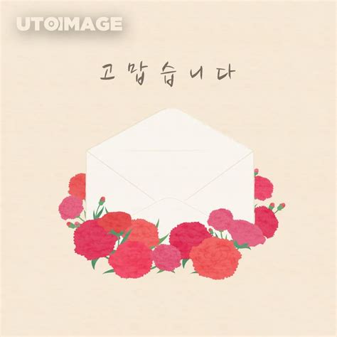 카네이션 일러스트01 카네이션 TORTUE 일러스트 카네이션 스승의날 꽃 어버이날 벡터 일러스트 그림 카드