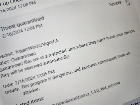 bruno api client gave a trojan r webdev