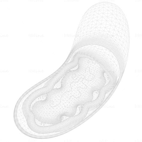 Mitochondria 3d Model