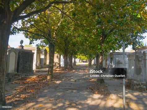 미국 루이지애나 주 뉴올리언스의 1 라파예트 묘지에 있는 화려한 가족 묘지 뉴올리언스에 대한 스톡 사진 및 기타 이미지 뉴올리언스 묘지 새로운 Istock