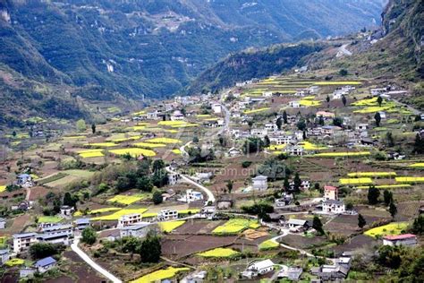湖北恩施油菜花海 人民图片网